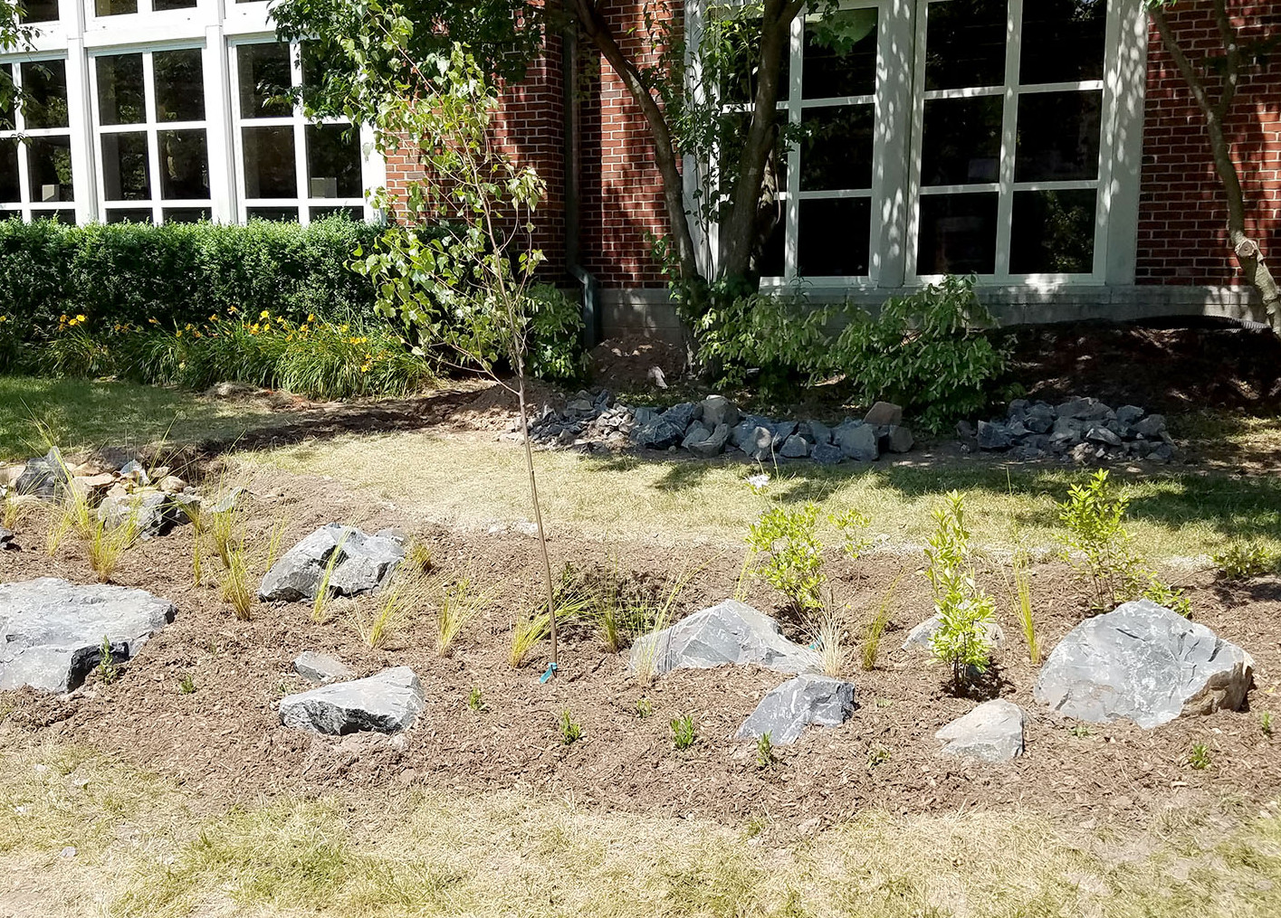 Renna Media | City of Summit Plants Rain Gardens at Library and City Hall