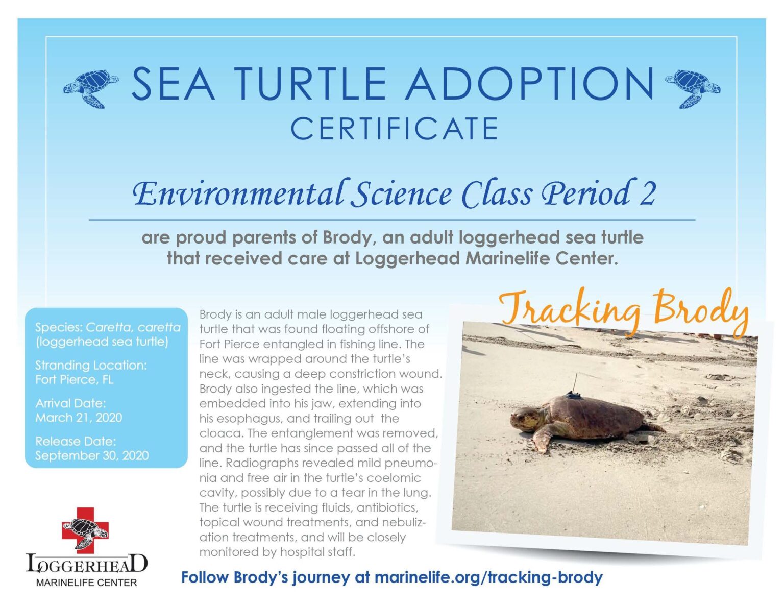 Virtual-Field-Trip.Sea-Turtle-Adoption-Certificate-1 | Renna Media