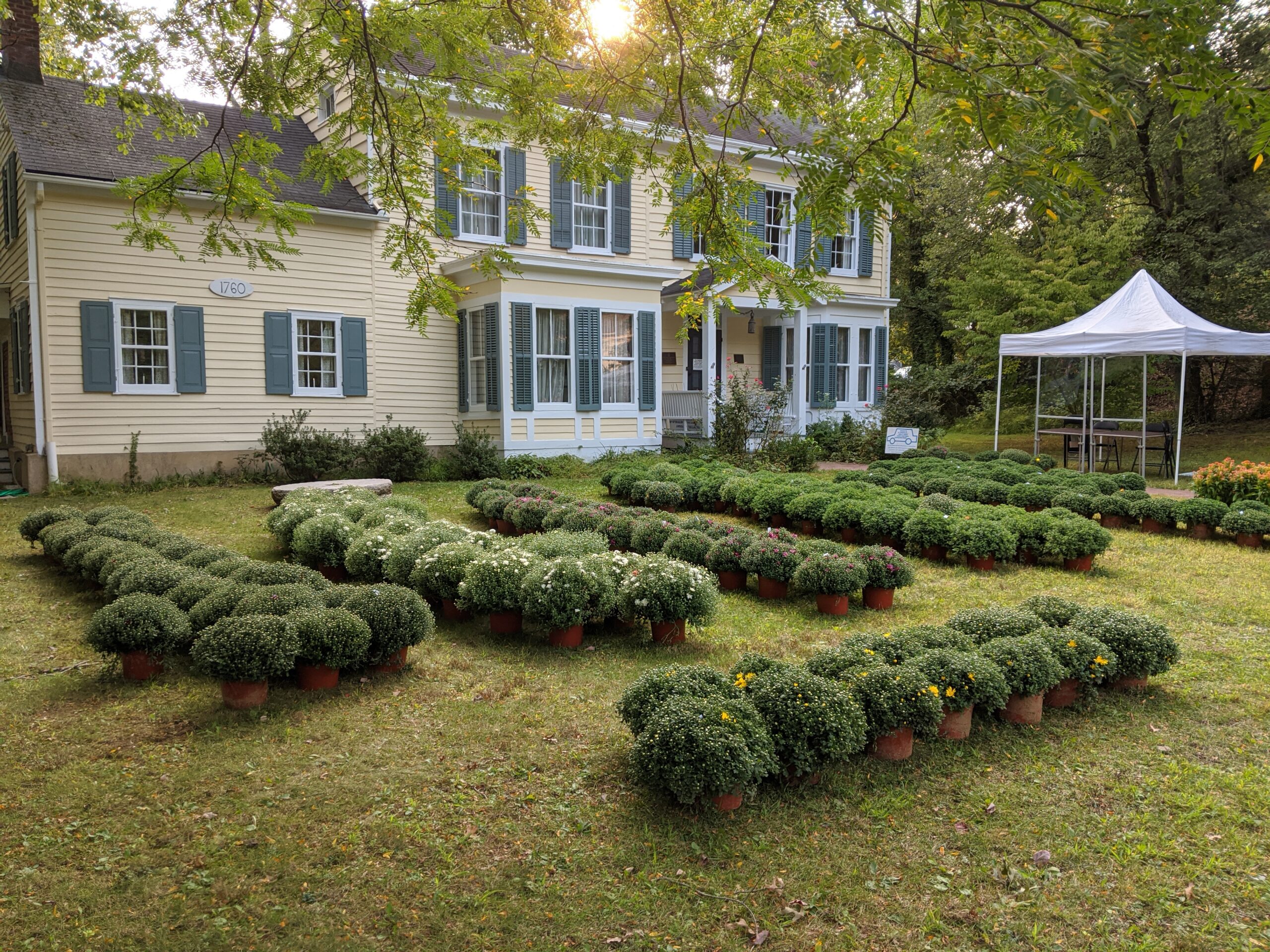 Fall Plant Sale photo | Renna Media