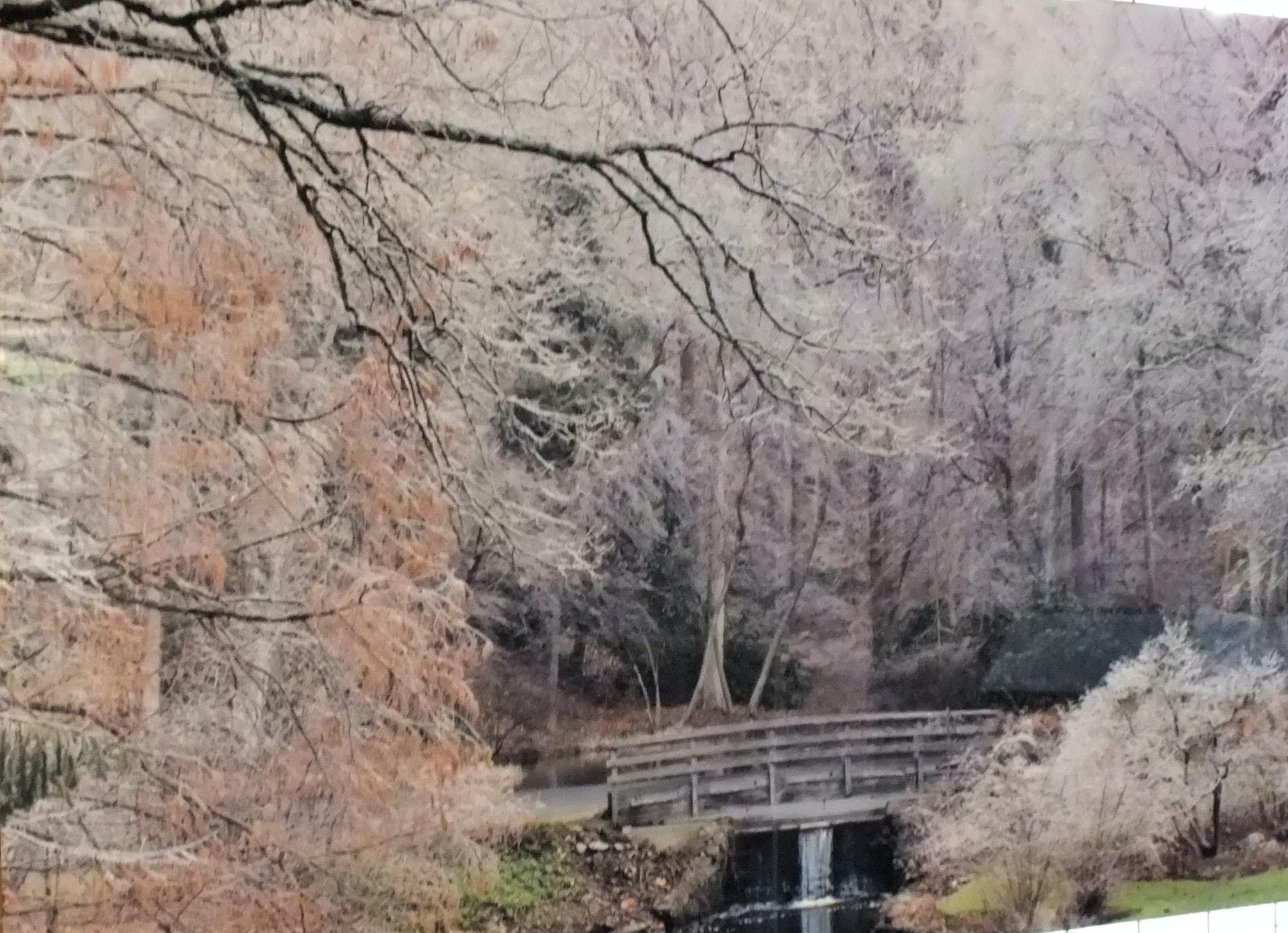 Renna Media | Leonard Buck Garden Art & Photography Exhibit