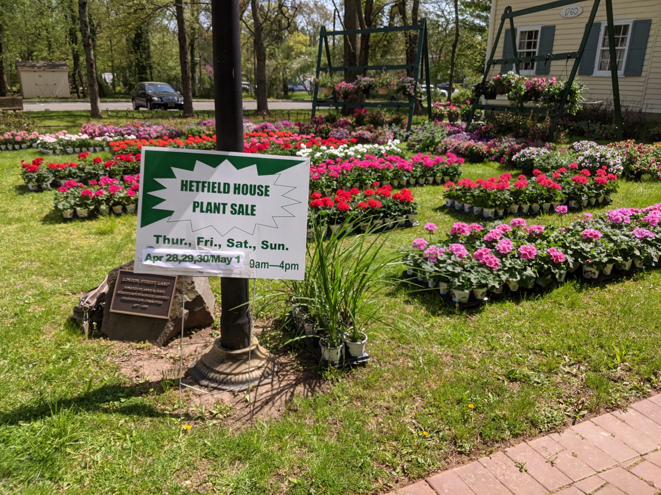 MRC Spring Plant Sale, 2022 | Renna Media