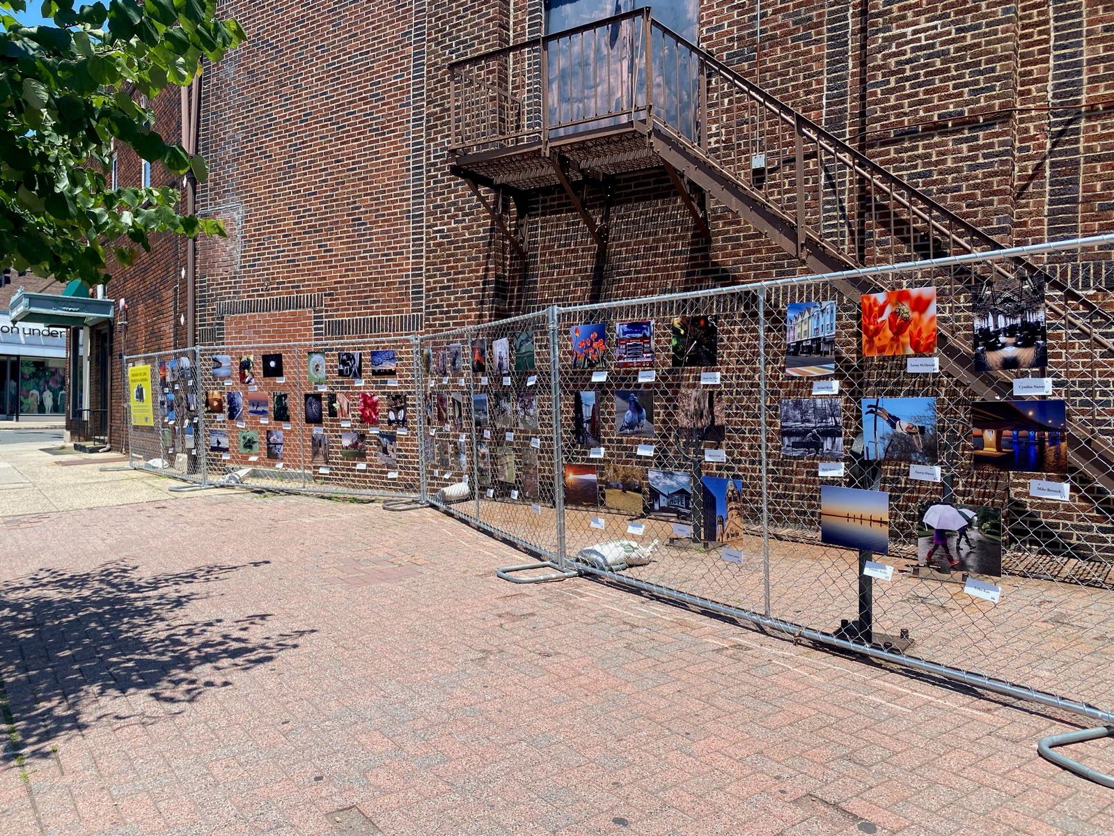 Renna Media | Through the Lens 2022