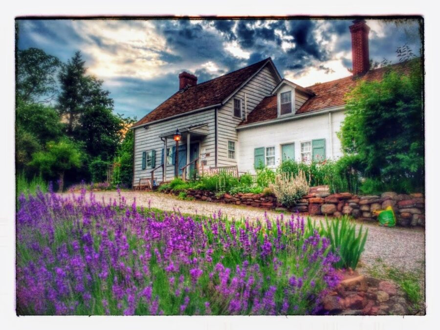 Renna Media | Cheese-Making at the Miller Cory House Museum