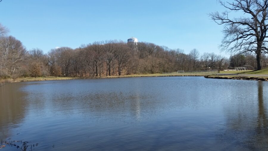 Renna Media | Visiting Shallcross Pond – 60 years later