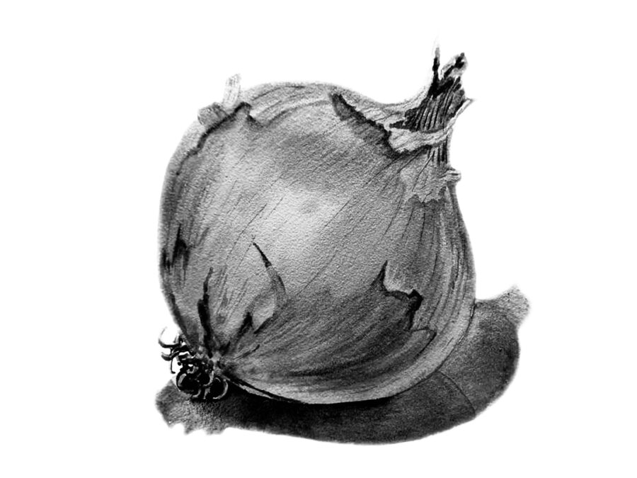 Renna Media | THE HISTORY OF ONIONS