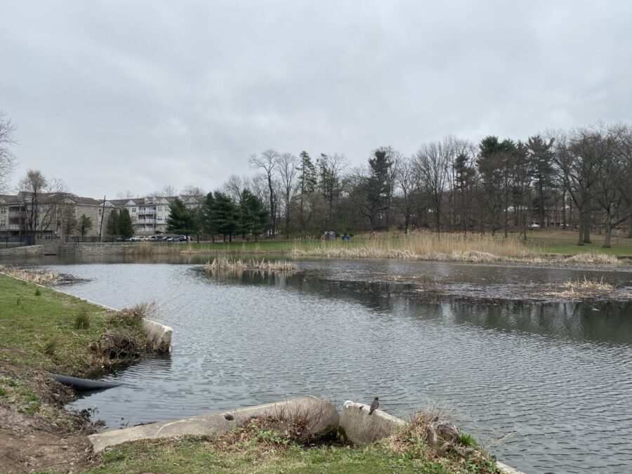 Renna Media | Aeration of Briant Pond Improves Water Quality