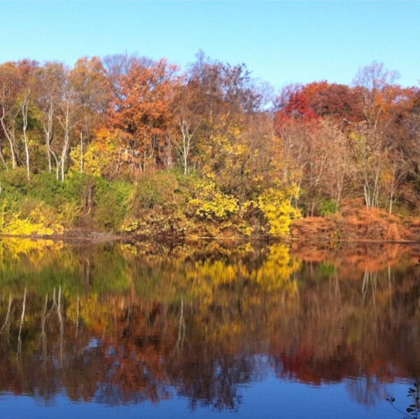 Renna Media | Nature Classes at Brightwood Park